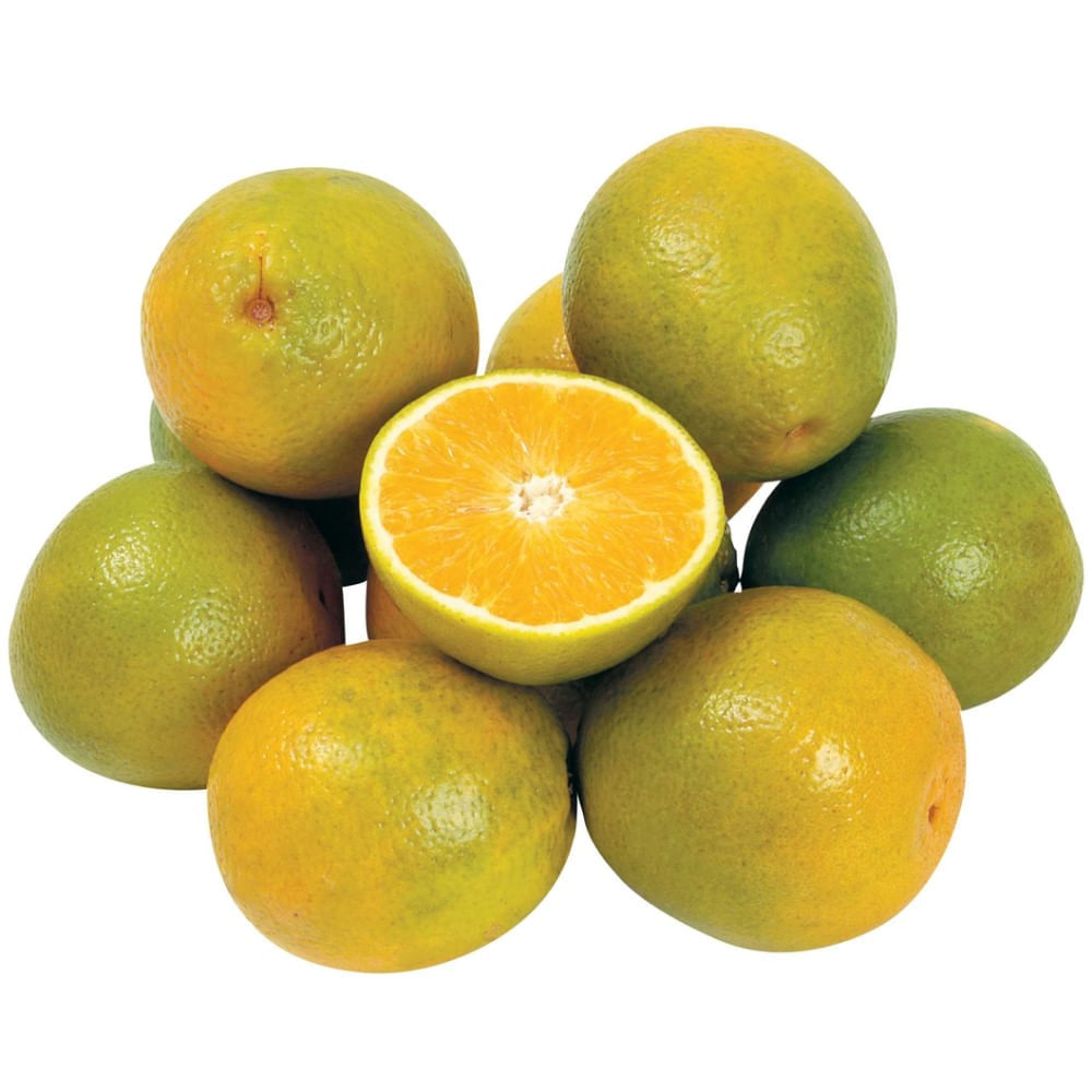 Laranja Pera Selecionada kg | Compre online e receba em casa!