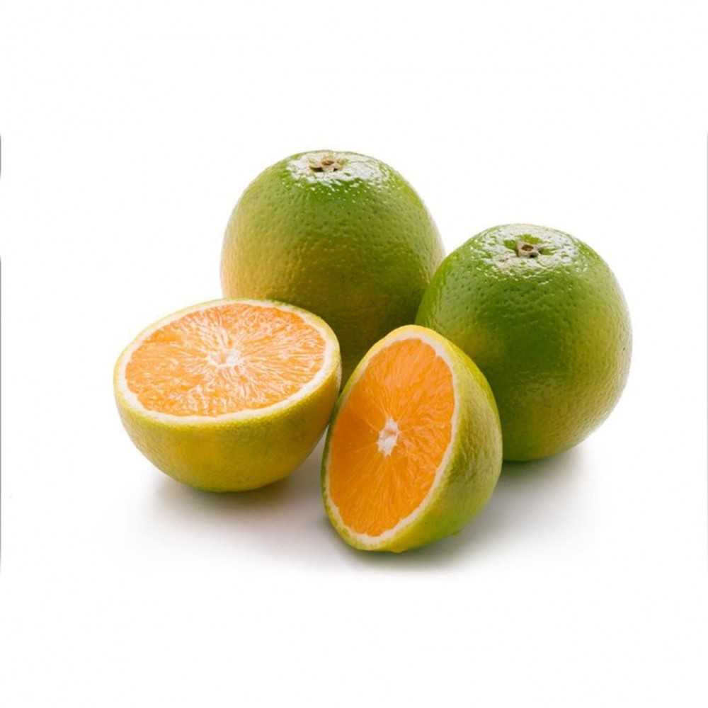 Laranja Pera Caisp Orgânico 1kg | Compre online e receba em casa!