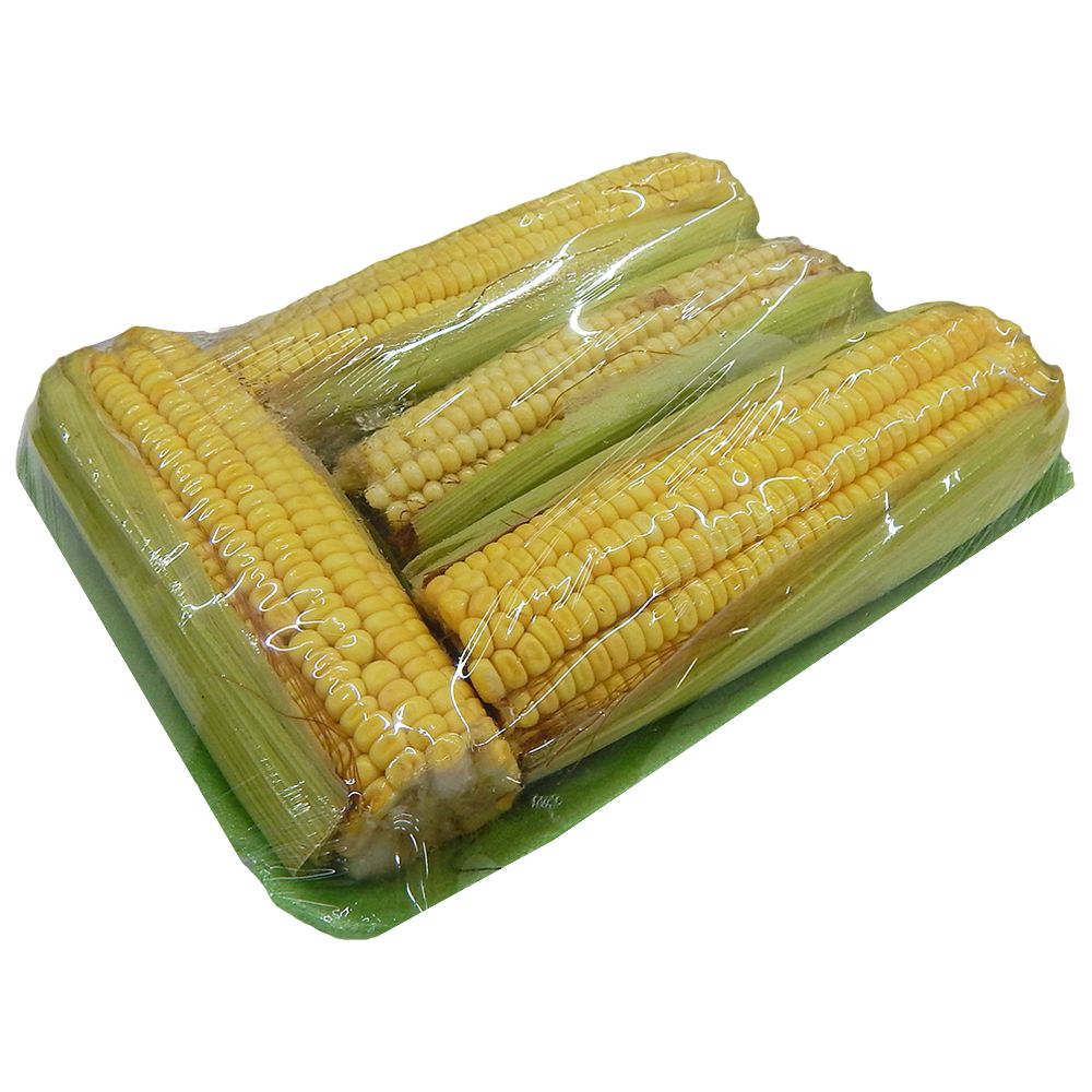 Milho Verde Eco Vida 500g | Compre online e receba em casa!