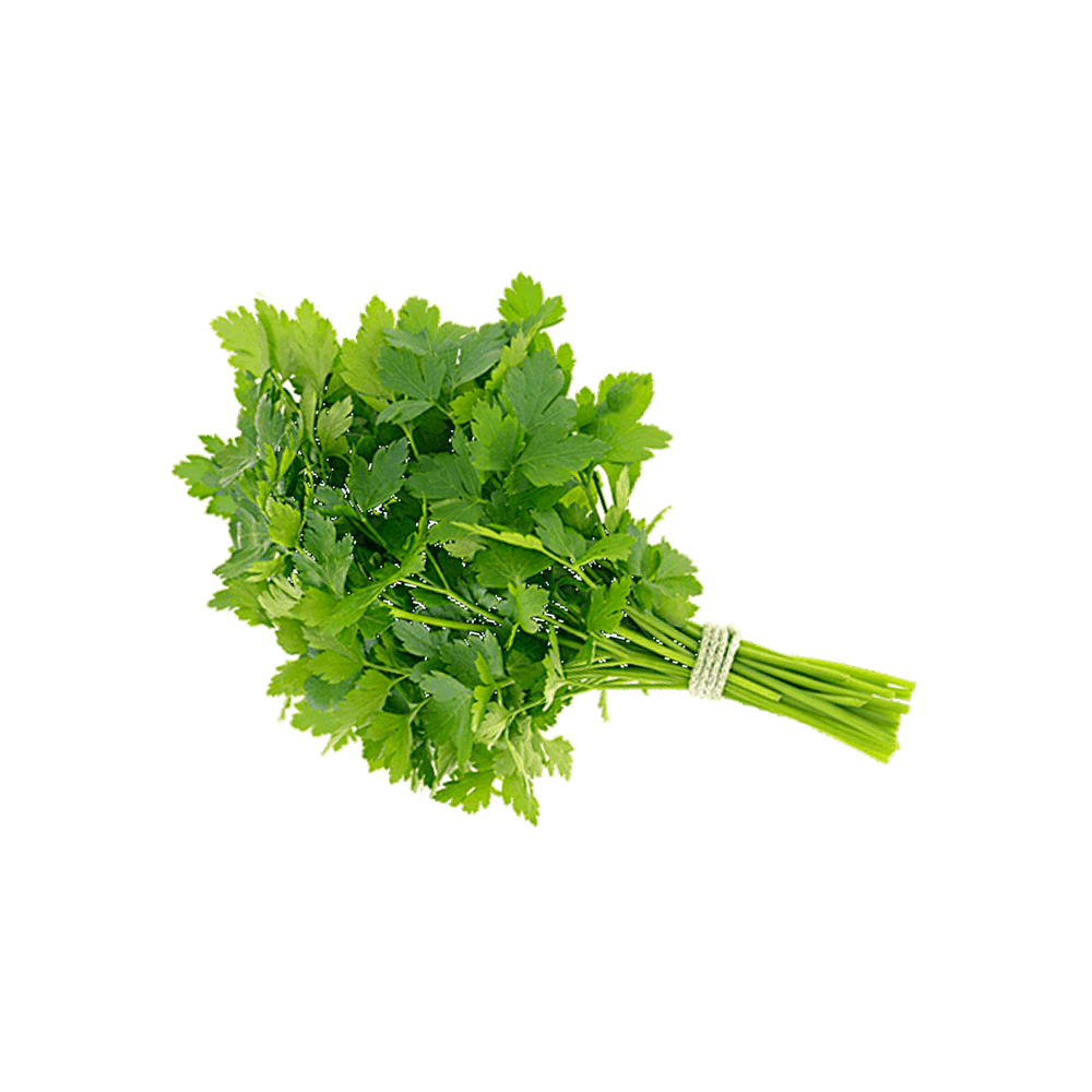 Cheiro-Verde Stella un | Compre online e receba em casa!